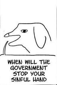 Markipoo
