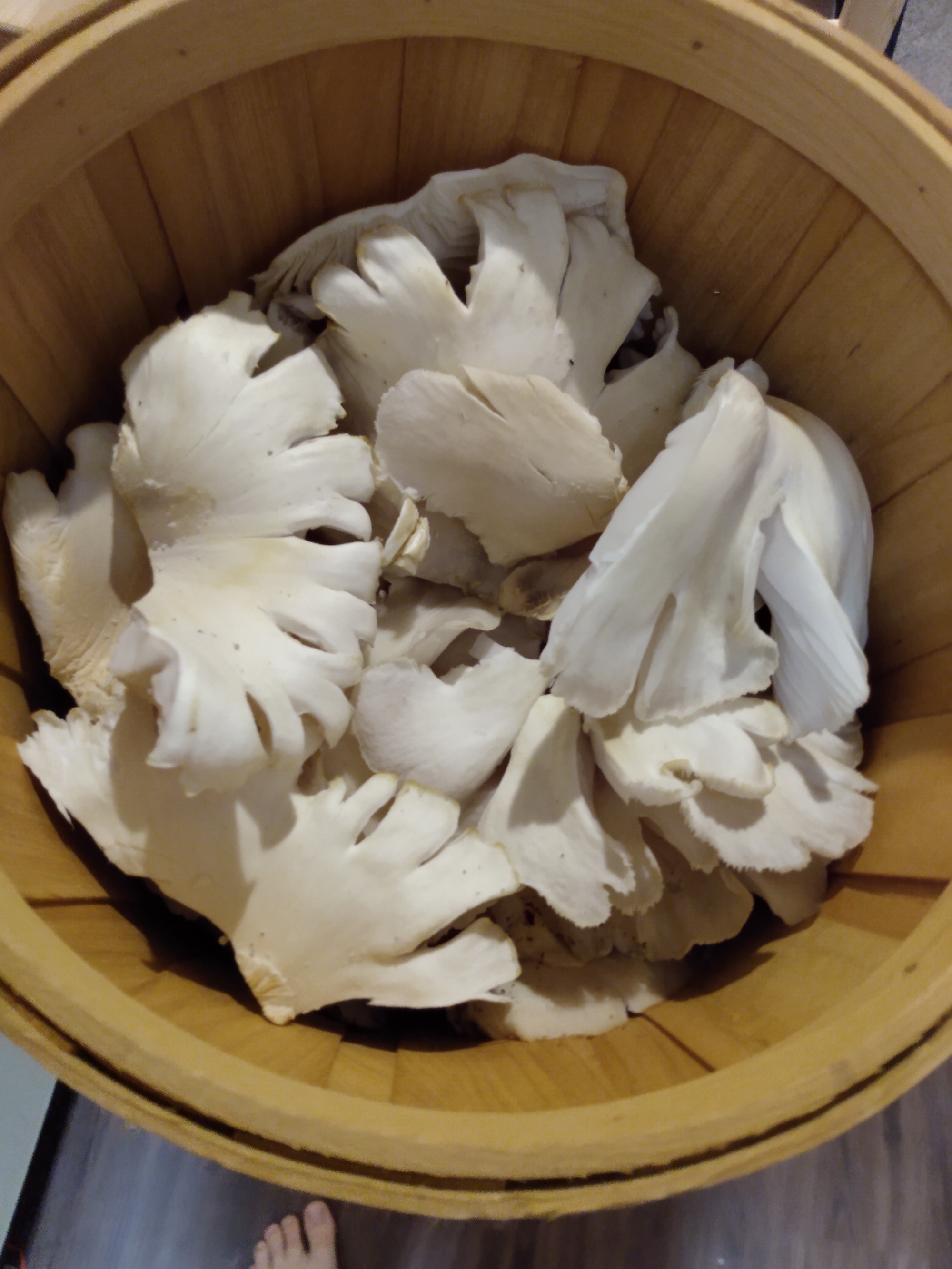 Hell to the yes brother. Living that shrigma male life - #221354746 ...