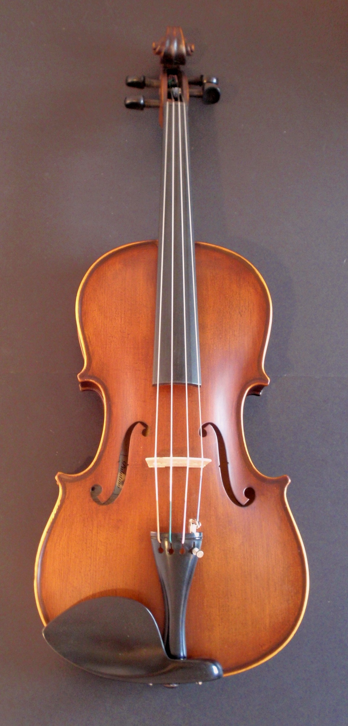 Violin
