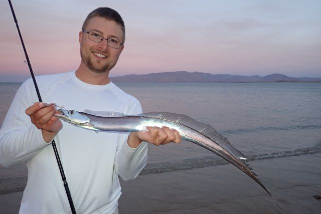 Species: Trichiurus lepturus English Names: Largehead hairtail ...