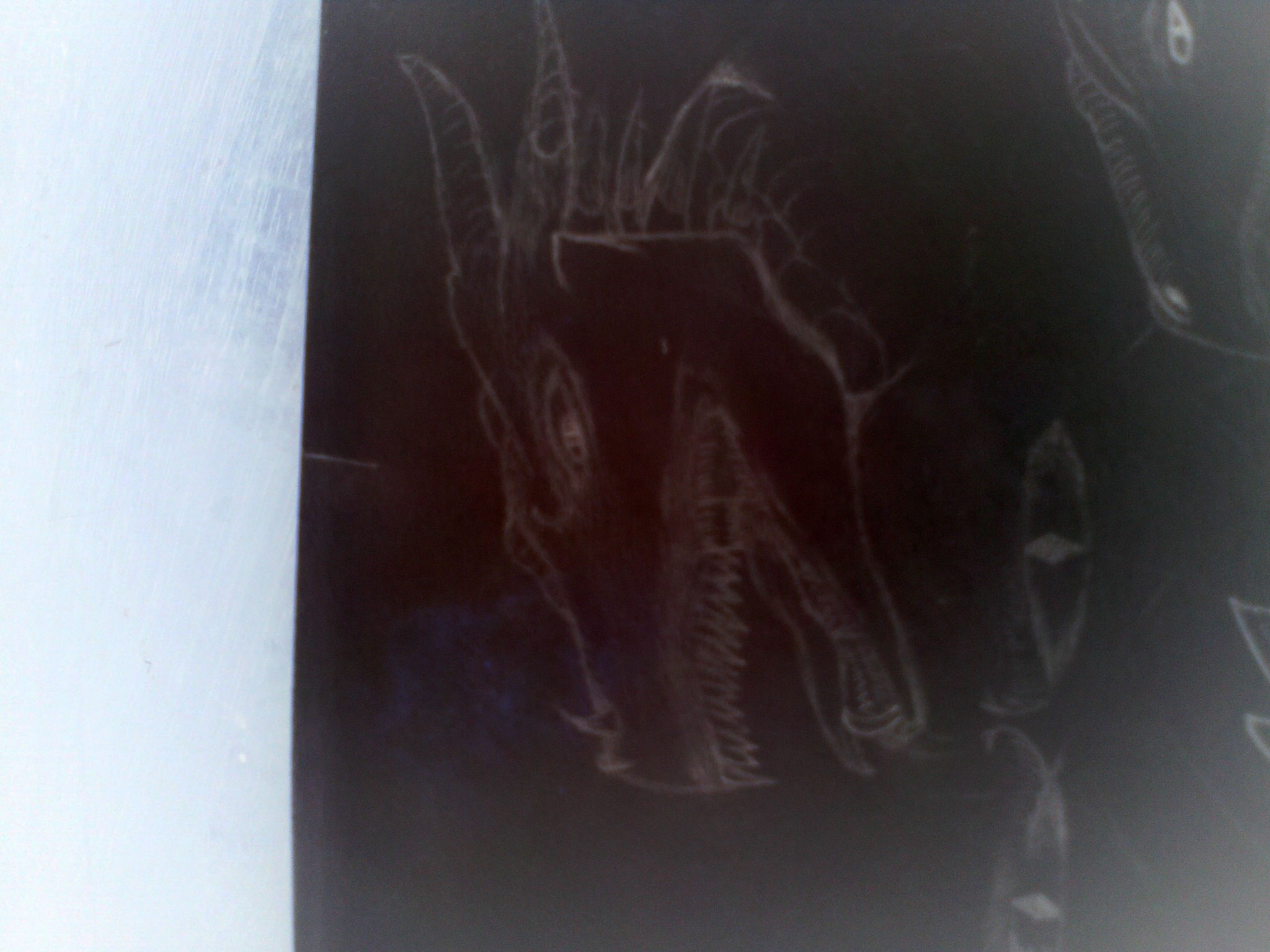 there you can see it a wee bit better - #86709361 added by awesomeduck ...