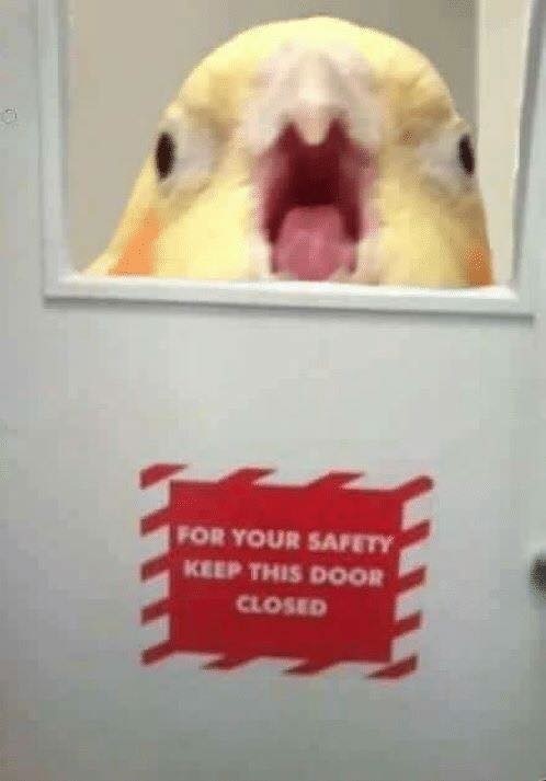 WHERE'S THE GIANT MANSLEY? - #159509988 added by muttbuttstrunk at ...