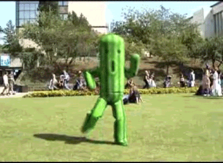 Cactus Dance!