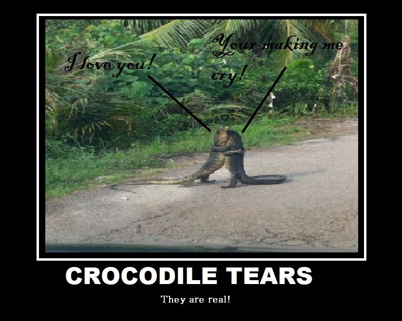 Crocodile Tears