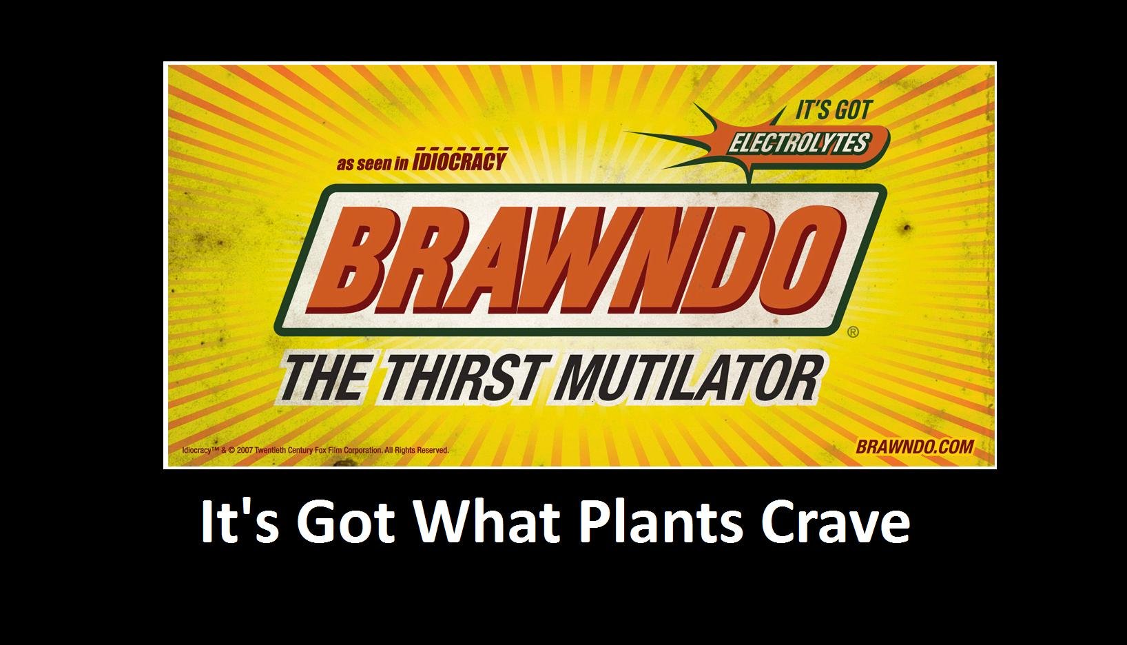 Brawndo