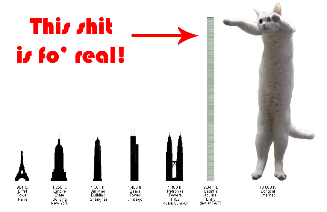 Longcat is long. His location? Internet