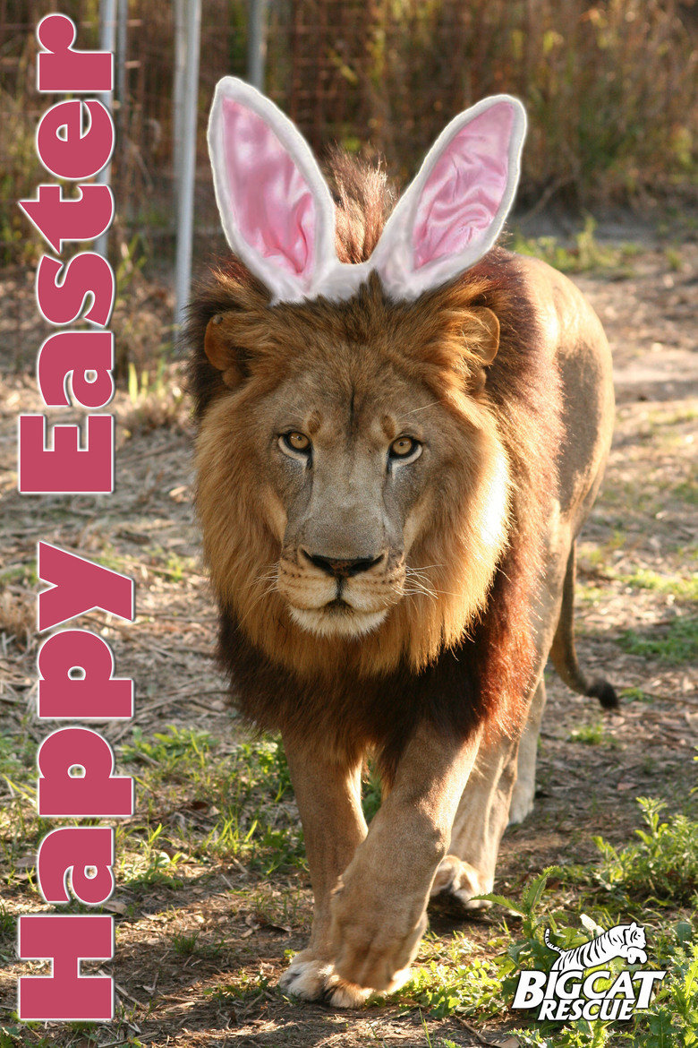 Lion Easter Bunny!
