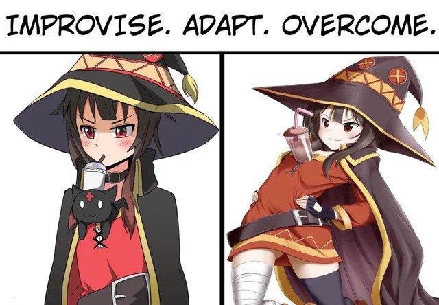 adapt