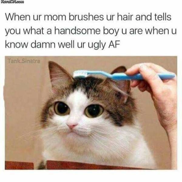 brushy