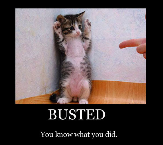 BuSTeD!
