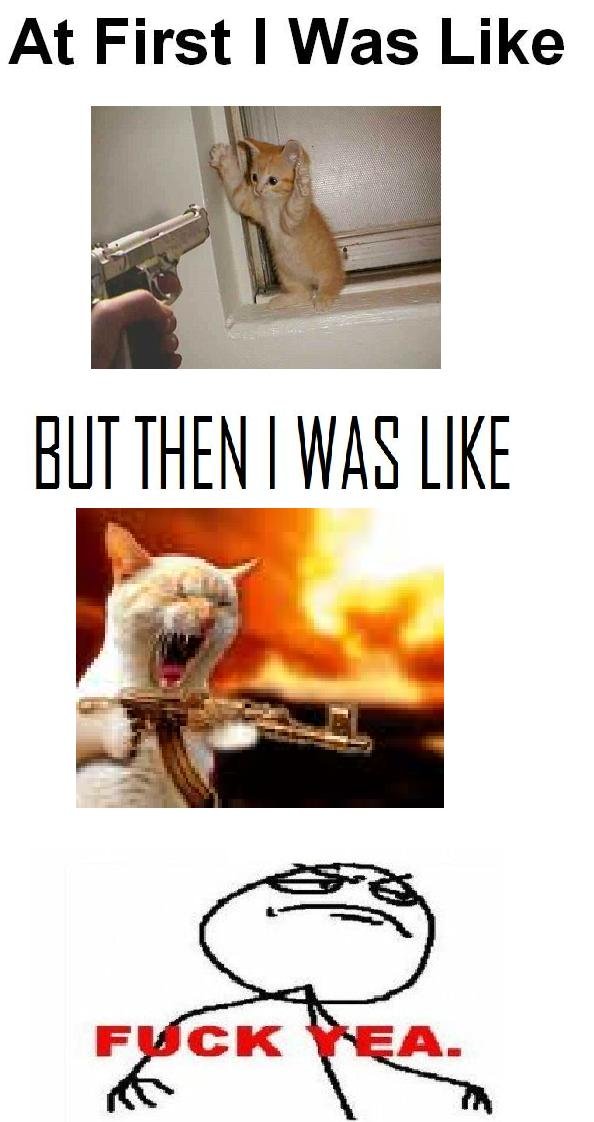 cat and ak47 results in **** yeah