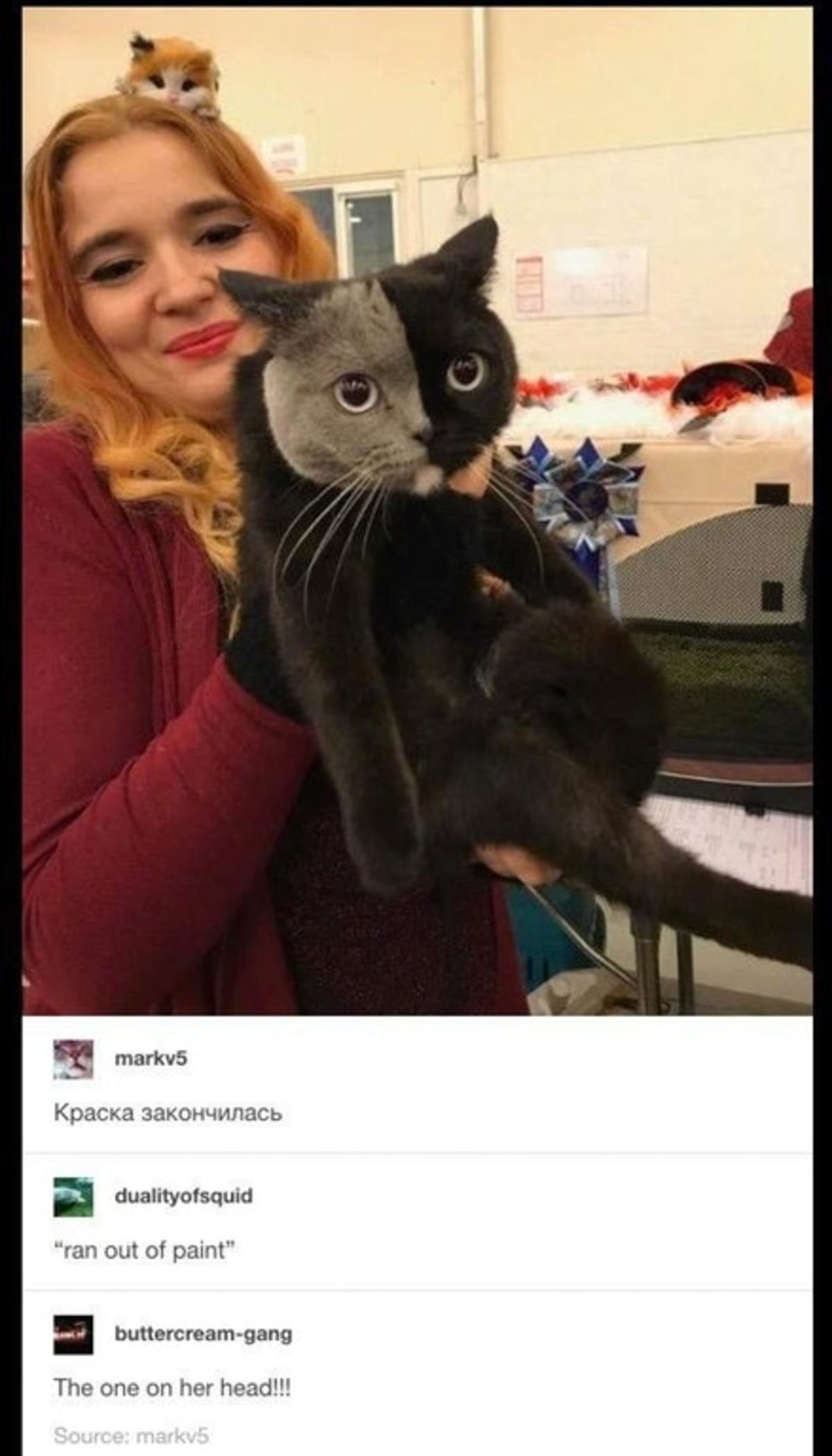 Chimera