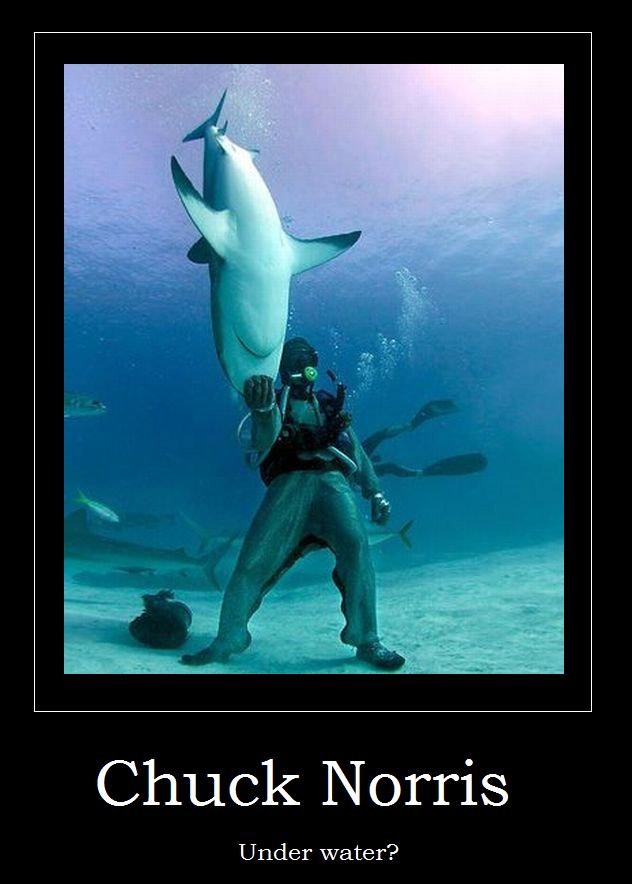 Chuck Norris underwater