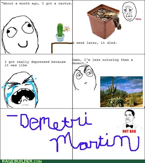 Demetri Martin's cactus