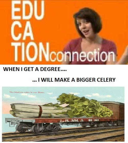 EDUCATION CONNECTION