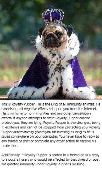 Immunity