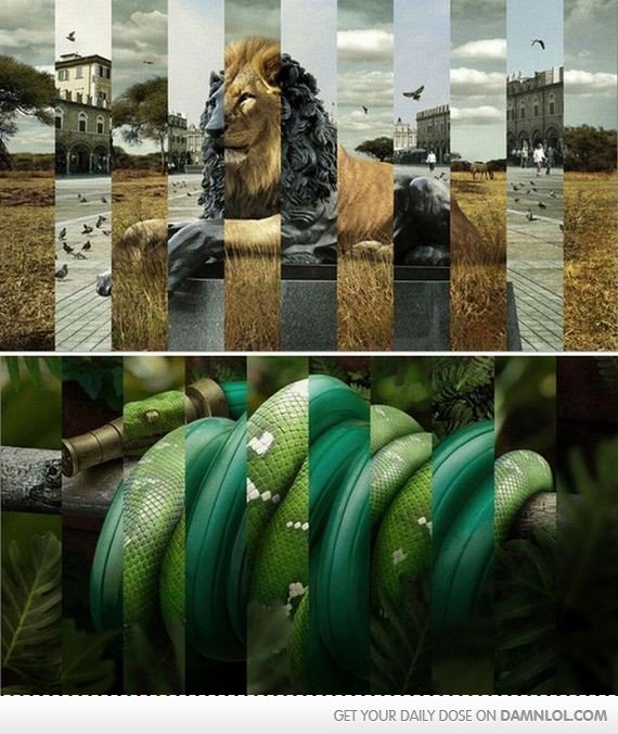 Inanimate Objects Crossed With Real Life