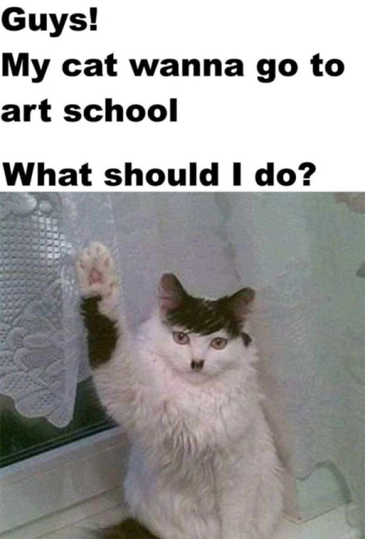 Kitler