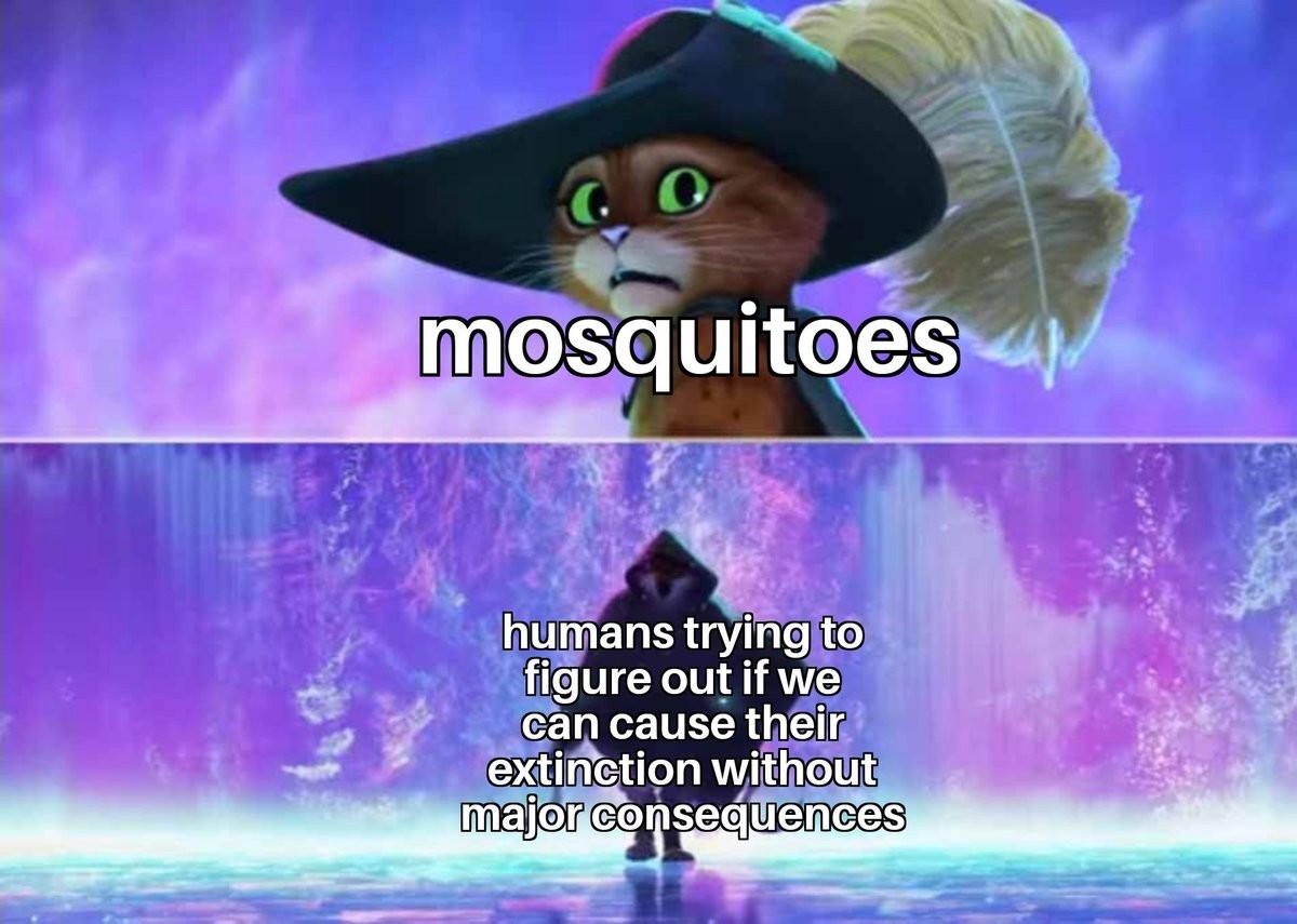 Mosquitos