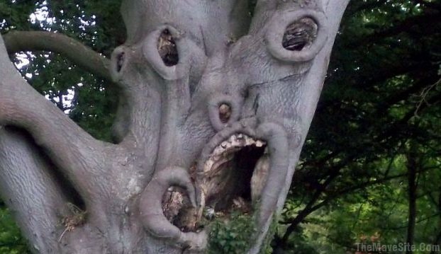 Mutant Tree
