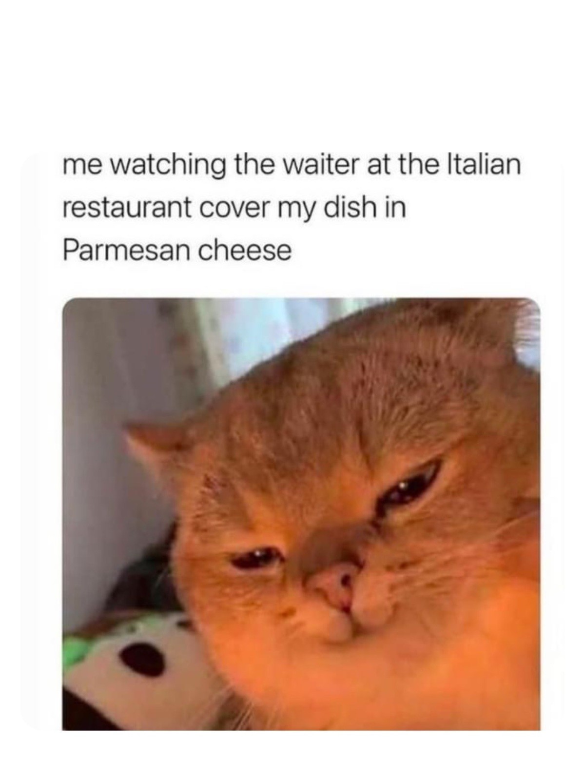 Parmesan
