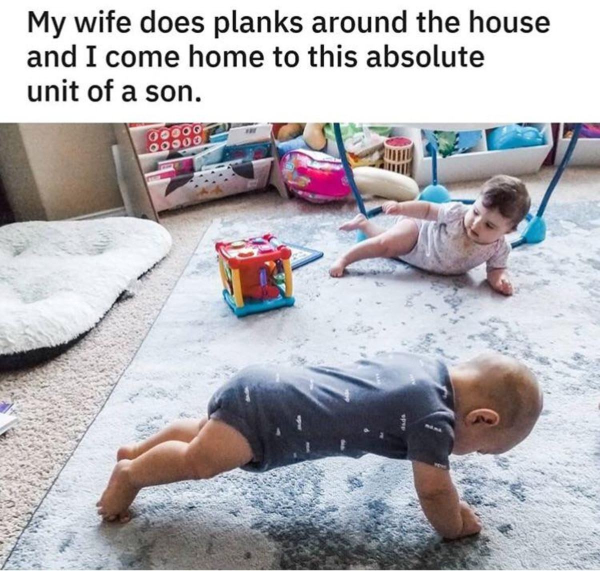 Planks
