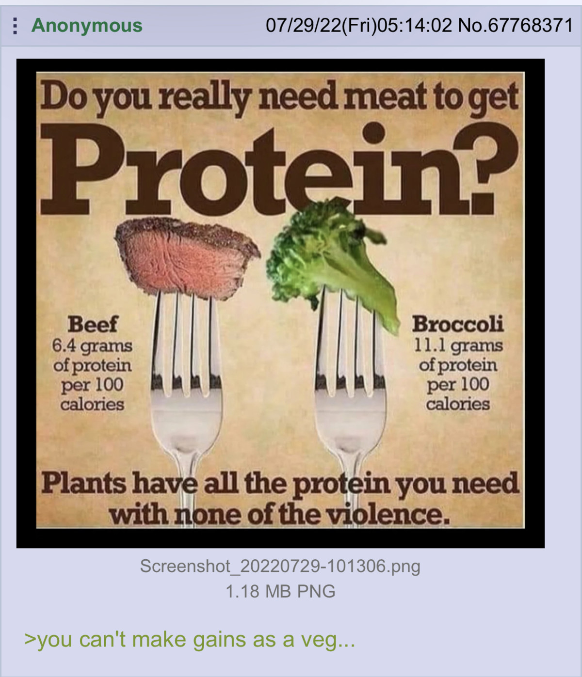 protein