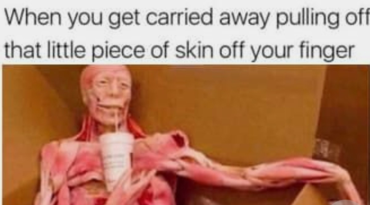 Skin