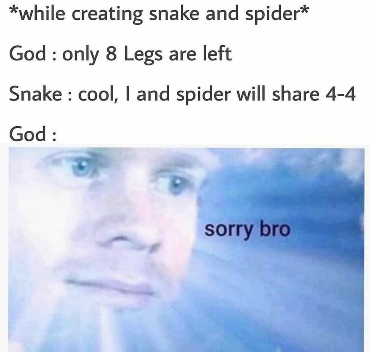 Snakes