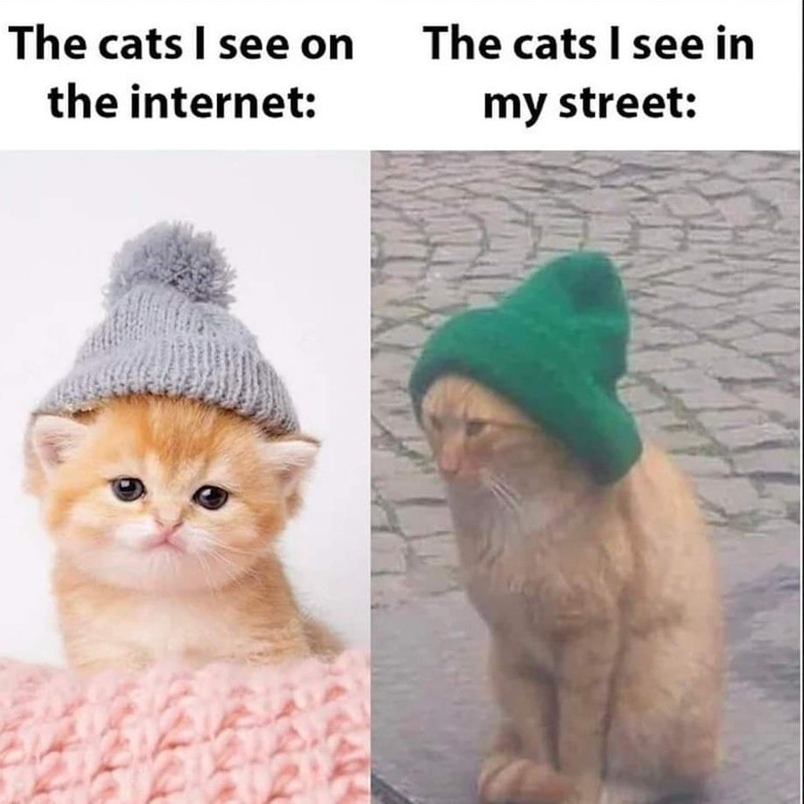 society