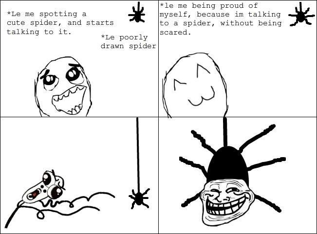 Spiders