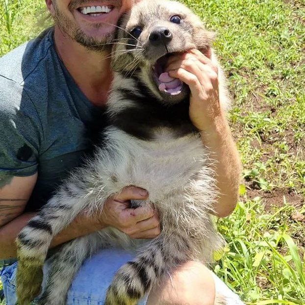 Yeen: Yeen: Stinky Yeens