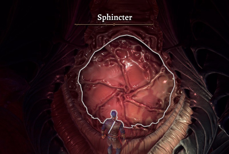 Wait…what