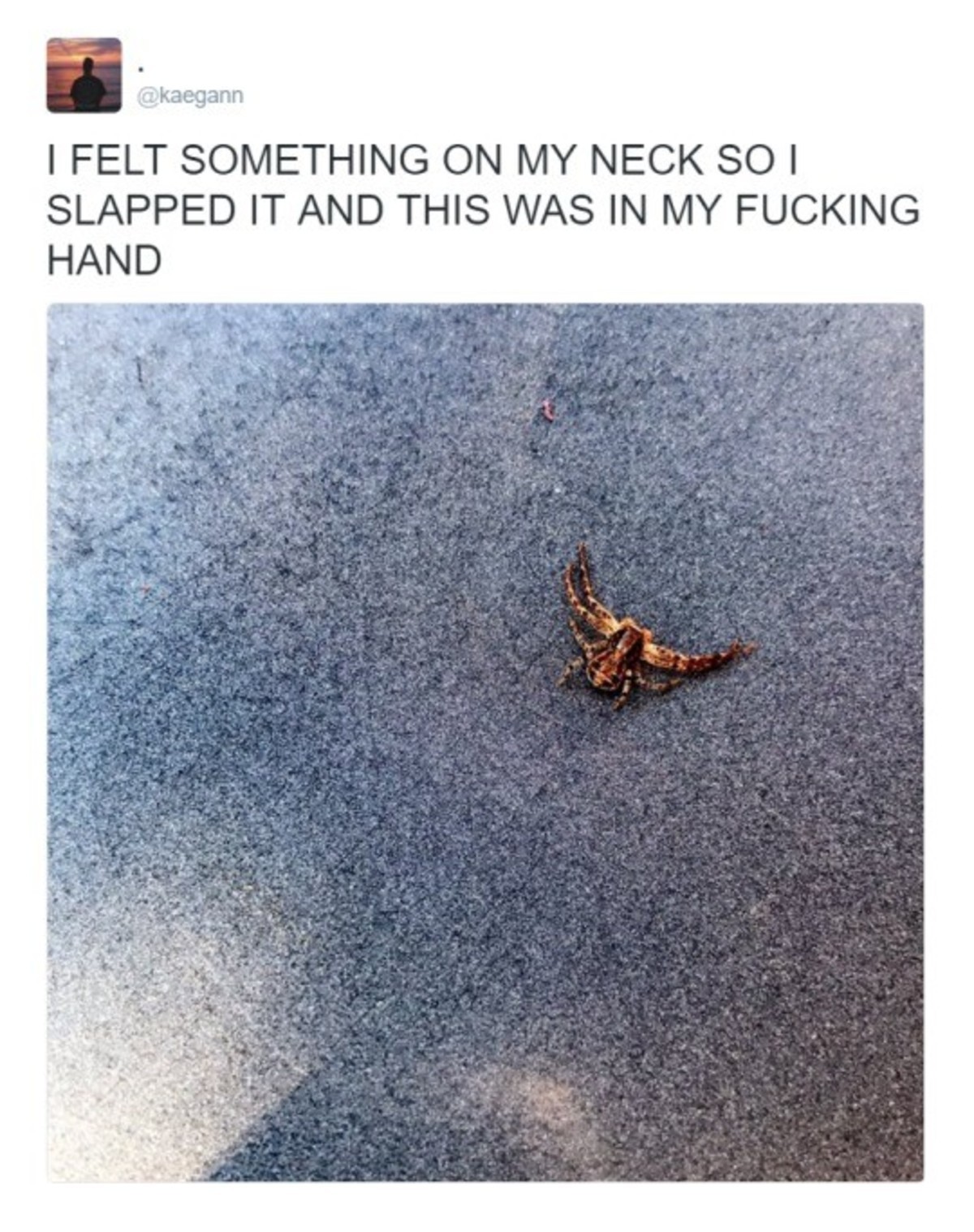 Yikes!