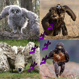 Ornithophobia